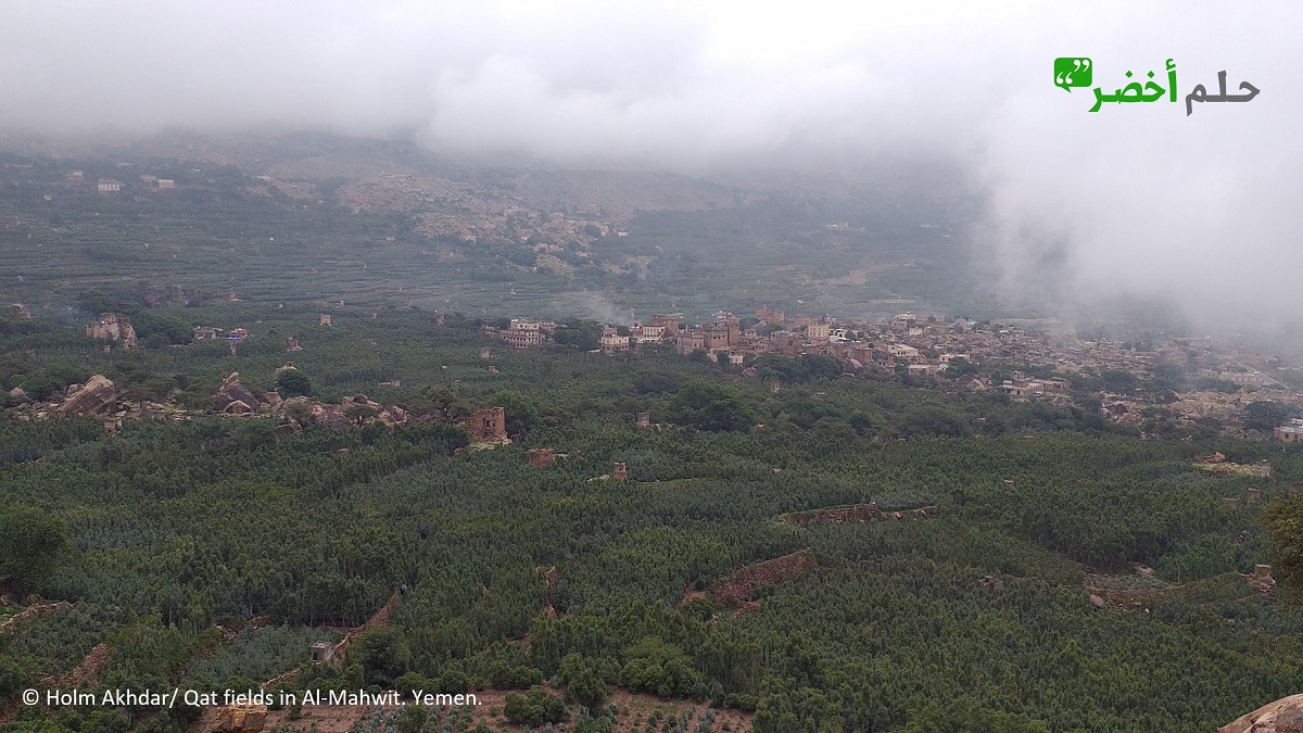 YEMEN: AGRICULTURAL PESTICIDES AGGRAVATE THE HEALTH DAMAGE | Holm Akhdar